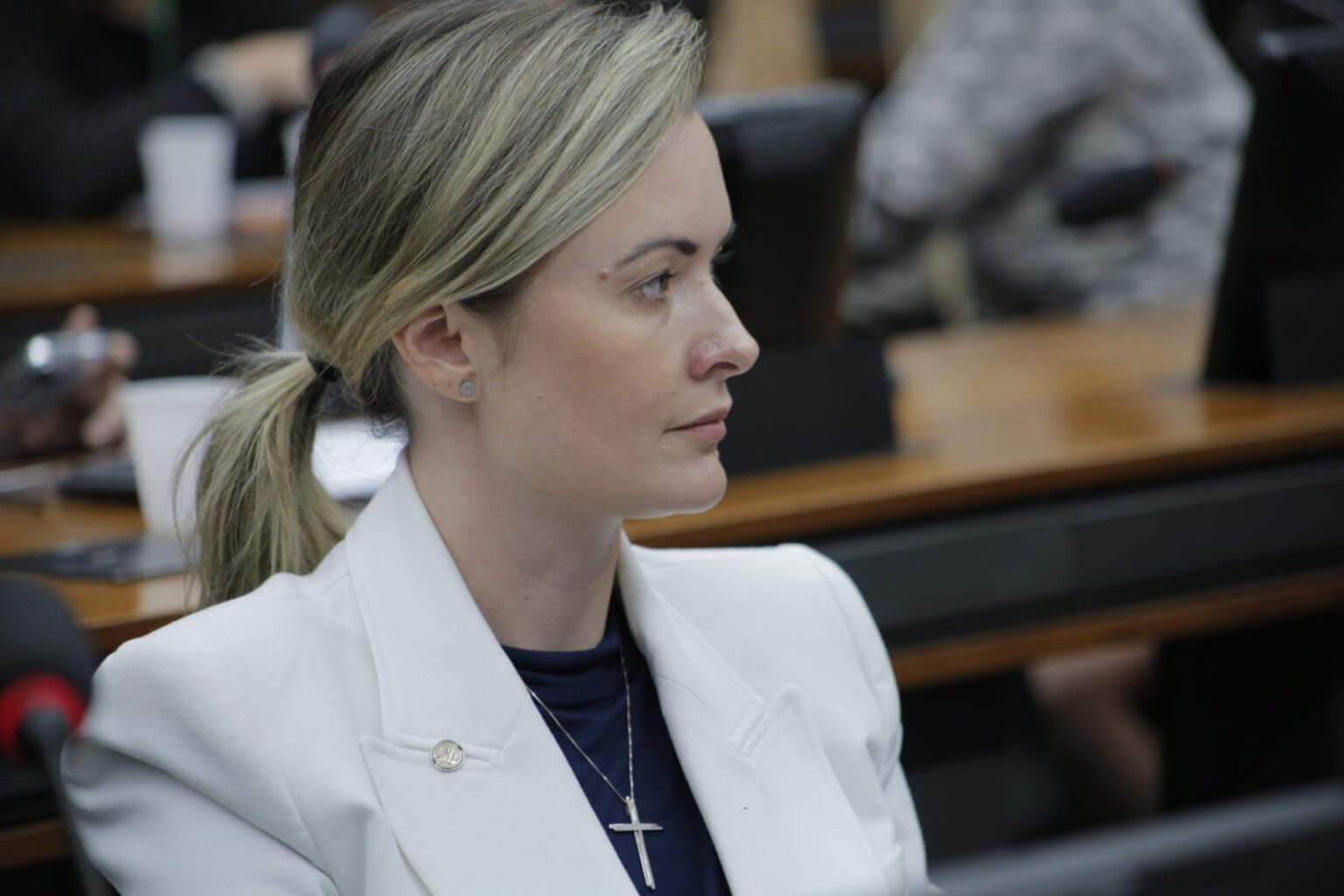 Deputados do Sul rejeitam arcabouço. Veja como SC votou - Karina Manarin